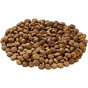 Health Extension Dry Dog Food, Natural Food with Added Vitamins & Minerals, Suitable for Puppies & Dogs, Original Chicken & Brown Rice Recipe (30 Pound / 13.6 kg)