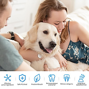 Morikey Pet Oral Spray Clean Gentle Bad Breath Treatment, Cleaning for Teeth, Gums and Oral Health Care for Your Dogs and Cats 2 Teeth Brushes Included 4.06 Fl Oz