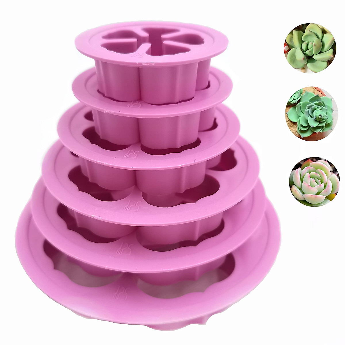 Gobaker Succulent Plants Rose Fondant Cutter Set Gumpaste Flower Petal Cutter Mold for Cake Cupcake Decoration,6pcs
