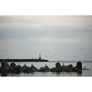 Sigma 50-100mm F1.8 Art DC HSM Lens for Canon