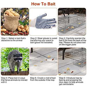 Live Animal Cage Trap, 23.3x7.2x7.7 Inches Humane Cat Trap for Stray Cats, Outdoor Heavy Duty Foldable Raccoon Traps, Humane Catch & Release Live Traps for Rabbits, Squirrels