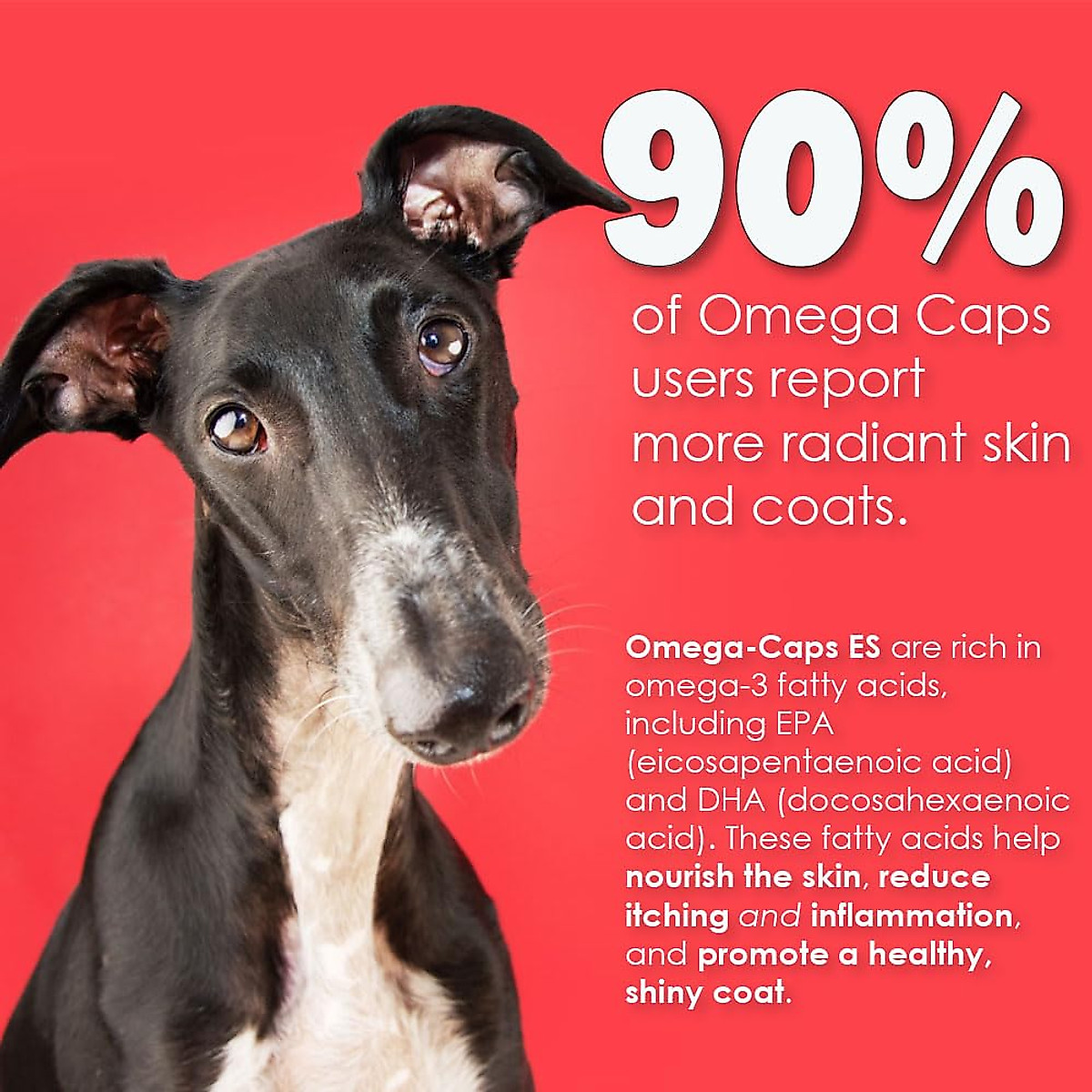 Omega-Caps Extra Strength for Large Breeds-Vet Formulated for Healthy Radiant Skin & Coat While Reducing Excess Shedding. Contains Omega 3 for Immune System Support, Easy to Dose, 60 Soft Gel Capsules