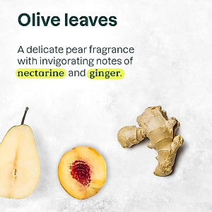 ATTITUDE Nourishing Hair Shampoo, EWG Verified, For Dry and Damaged Hair, Naturally Derived Ingredients, Vegan and Plant Based, Grapeseed Oil and Olive Leaves, 32 Fl Oz