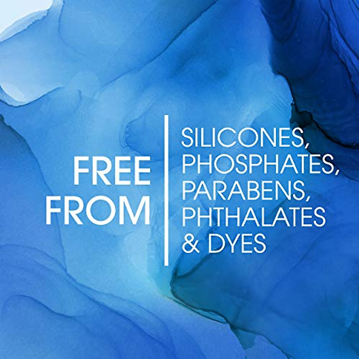 Head & Shoulders Detox & Hydrate Shampoo, 11.8 Fl Oz