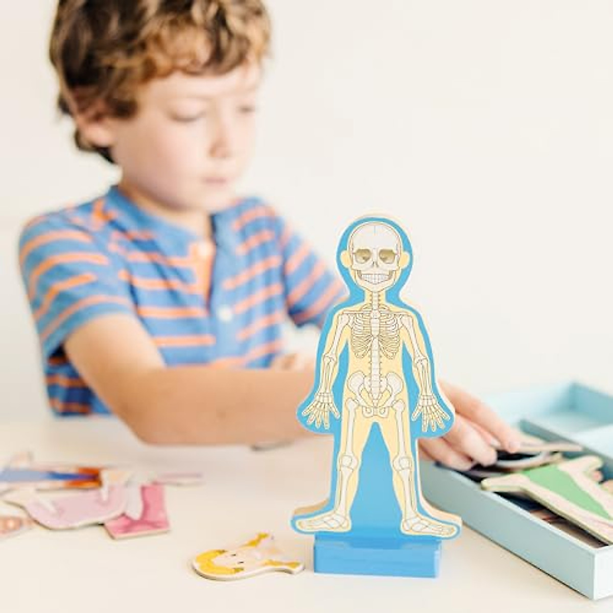 Melissa &amp; Doug Magnetic Human Body Anatomy Play Set With 24 Magnetic Pieces and Storage Tray