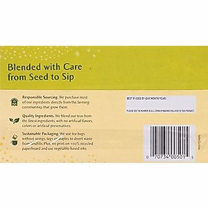 Celestial Seasonings Green Tea, Authentic, Contains Caffeine, 40 Count (Pack of 6) (Packaging May Vary)