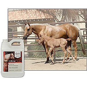 UltraCruz Equine Horse Shampoo, 1 Gallon (sc-395294)
