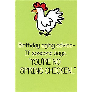Recycled Paper Greetings You're No Spring Chicken Humorous/Funny Birthday Card