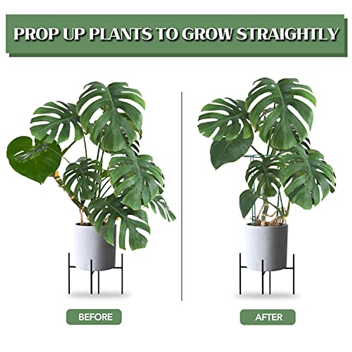 Joyhalo 12 Pack Plant Stakes for Outdoor Plants, 16 Inch Plant Support Stakes, Peony Supports for Outdoor Plants, Peony Cage with 15 Pcs Plant Labels, Flower Stakes Peonies Support Cages for Plants