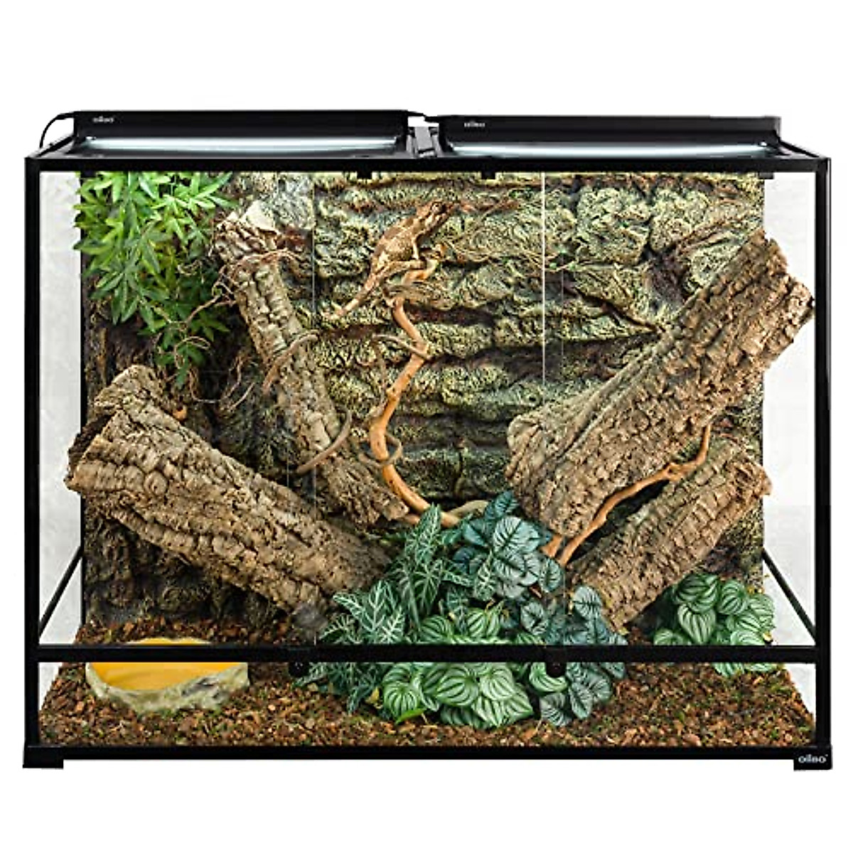 OIIBO Tall Reptile Terrarium 48" x 18" x 36" Full Tempered Glass Rainforest Reptile Tank, Vertical Terrarium Paludarium Tank with Top Screen Ventilation for Reptiles and Amphibians