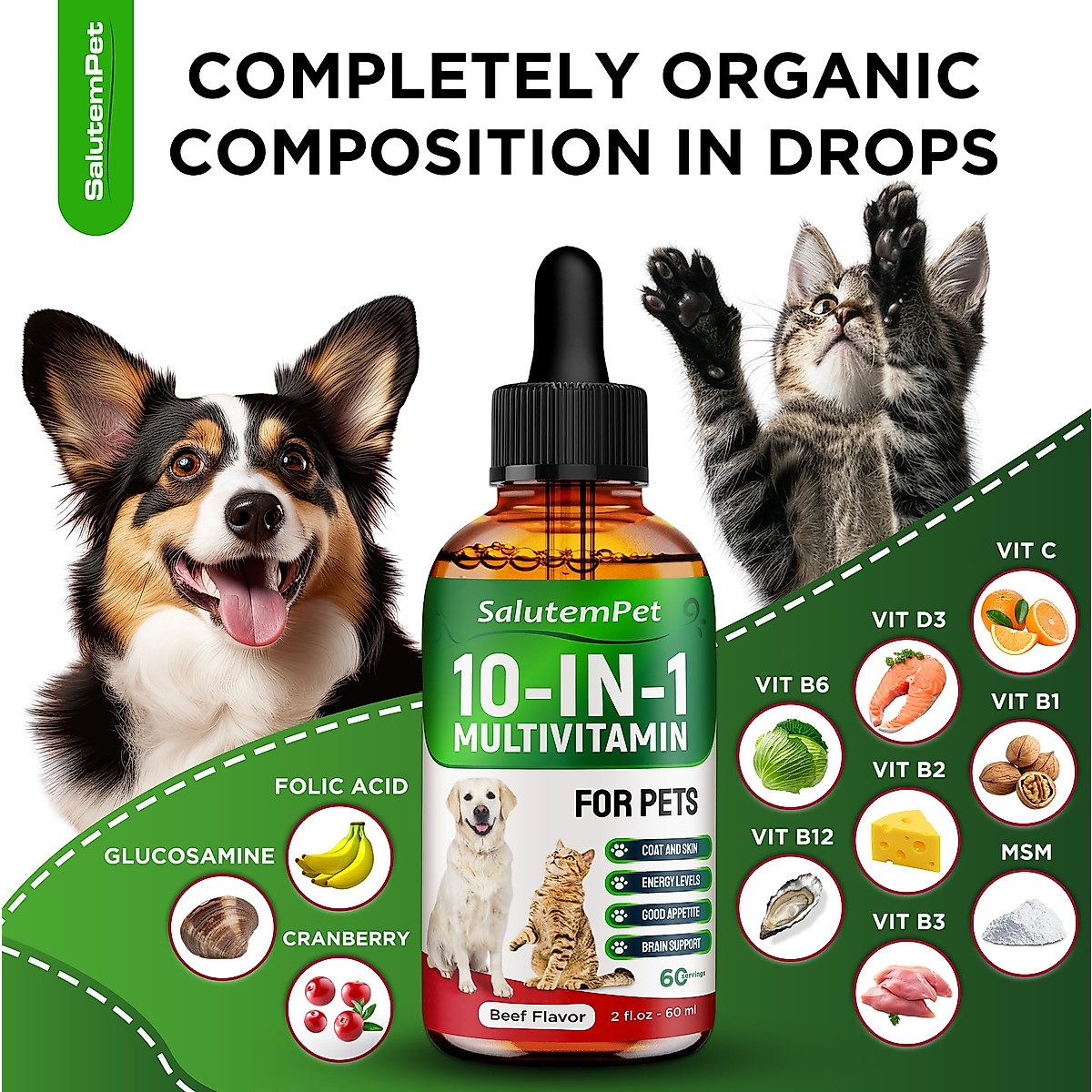 Liquid Multivitamin for Dogs | Dog Multivitamin Liquid | Multivitamin for Cats | Multivitamin for Dogs | Cat Multivitamin 10-in-1 | Cat Multivitamins for Indoor Cats | 2 Oz