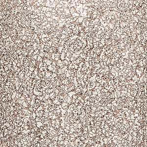 Alex Evenings Women's Knee Length V Neck Cocktail, Mother of The Bride Dress (Petite & Regular Sizes), Champagne Ivory, 10