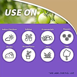 Bonide Captain Jack's Copper Fungicide, 16 oz Concentrated Plant Disease Control Solution for Organic Gardening