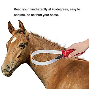 Pssopp Horse Shedder Scraper Stainless Steel Horse Sweat Scraper Metal Animal Equine Sweat Scraper Shedder Horse Grooming Brushes Combs Single Metal Shedding Blade