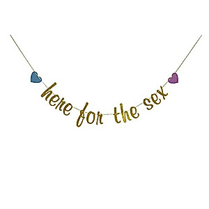 Here for the Sex Banner, Glitter Gender Reveal Bunting, He or She Decors, Boy or Girl Baby Shower Party Decorations, Gold