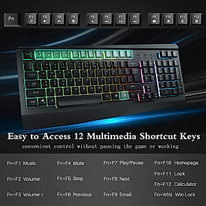 HovingTech Gaming Keyboard, USB Wired Keyboard with Metal Panel Rainbow Backlight, LED Illuminated Ergonomic Wrist Rest, Shortcuts, 19-Key Anti-Ghosting, Laptop & Desktop PC Computer Black
