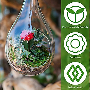 Veemoon 3 Packs of Artificial Moss Dried Moss Fake Lichen Plants for Home Fairy Garden Patio Decoration- Dark Green 60g/ Pack