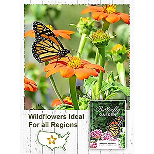 American Meadows Wildflower Seed Packets ''Butterfly Garden'' Favors (Pack of 20) - Pollinator Wildflower Seed Mix to Attract Hummingbirds, Bees, and Butterflies, Party Favors for Any Occasion