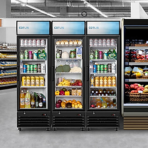 COTLIN Glass Door Merchandiser Refrigerator with LED Lighting, 12.5 cu.ft Commercial Beverage Cooler, Dual-Layer Glass Extra Adjustable Shelves and Drink Organizers, ETL NSF Approved