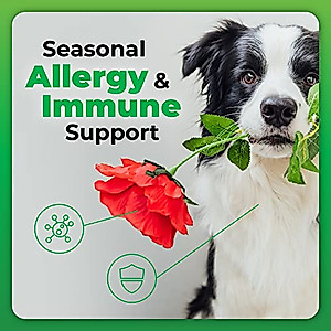 VetriScience Derma Strength Healthy Skin and Coat Chews with Omega 3, 6 and 9 for Dogs, 70 Chews - Can Reduce Shedding and Support Skin Health