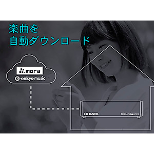 I-O Data Network Audio Server 2TB / USB-DAC/hi-res/CD Ripping corresponding Soundgenic HDL-RA2HF / E