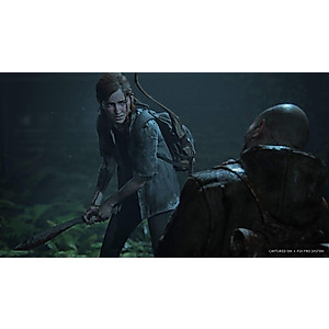 The Last of Us Part II (PS4) (PS4)