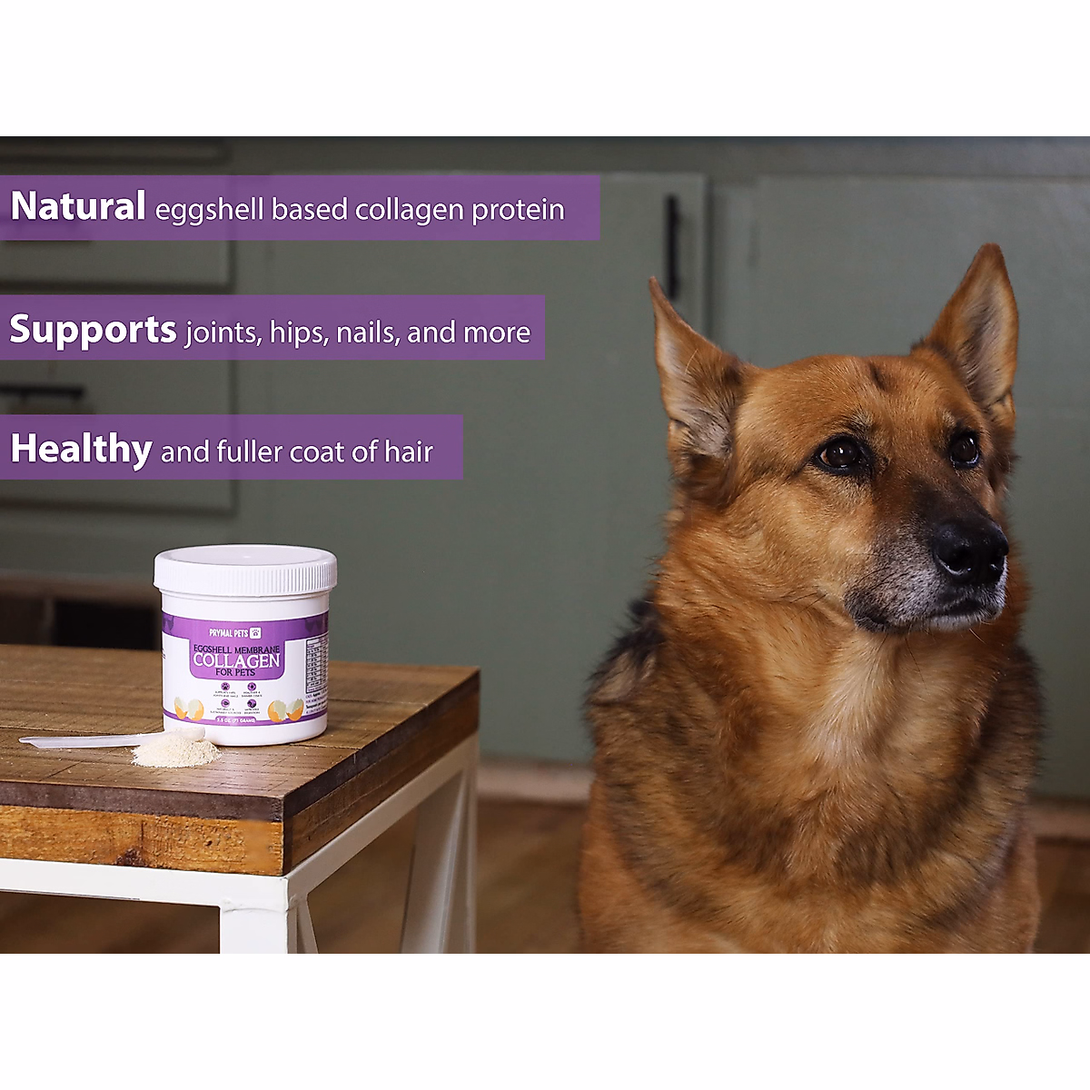 Eggshell Membrane Collagen for Dogs - Non-Gelatin and Non-Bone Marrow Based, All Natural Premium Dog Collagen Powder from Eggshell Membranes: Supports Pet HIPS, Joints, Nails, Fur and Digestion.