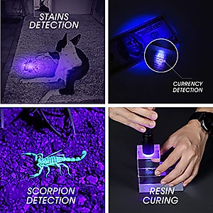 NEXTORCH 405nm uv Light UV Led Blacklight Flashlights Detector Ultraviolet Pocket-Size LED Torch for Pets Urine and Stains Find Stains on Carpet, Rugs 3D Printed Resin C2UV (405nm UV)