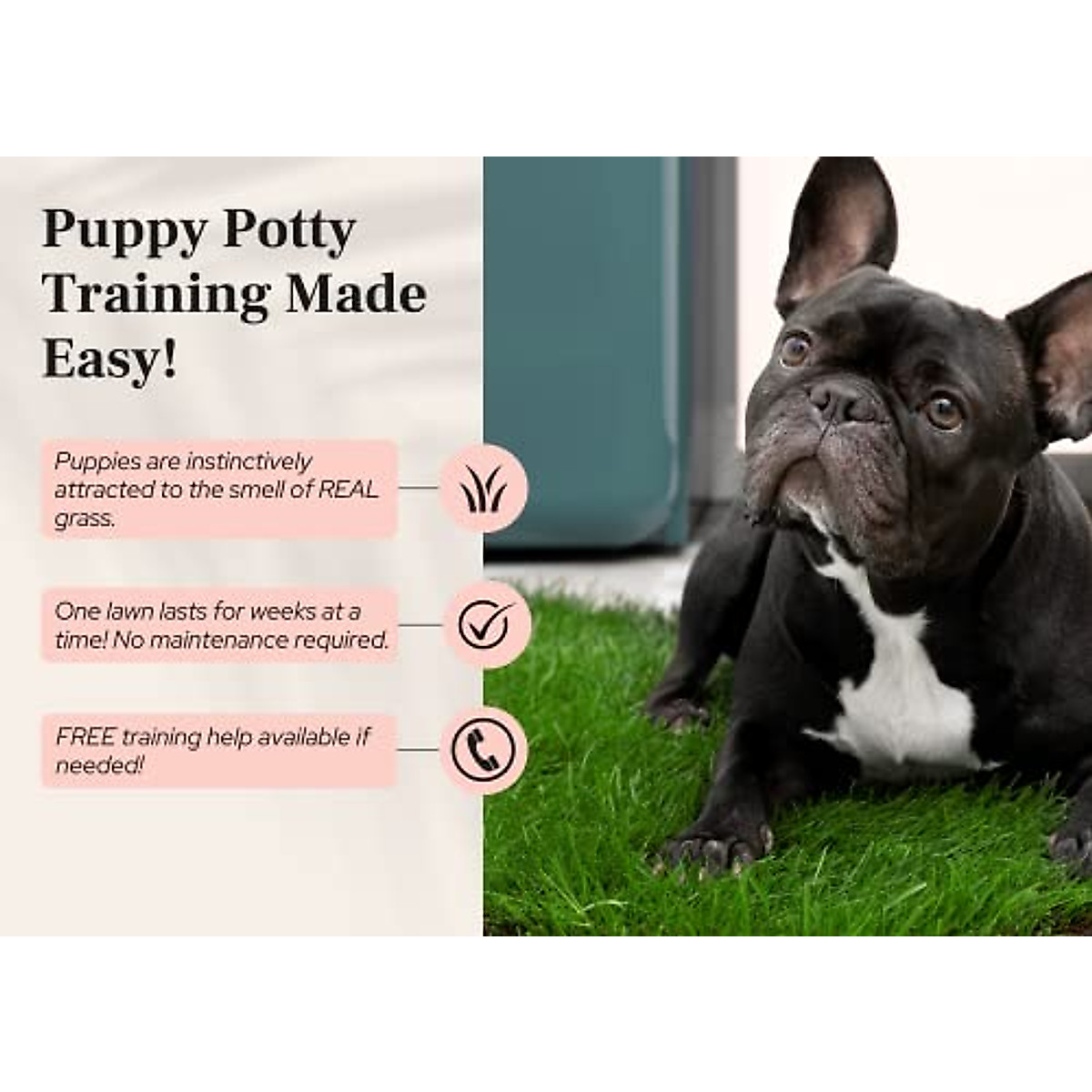 DoggieLawn Dog Potty - Real Grass - XLarge 24x48 inches