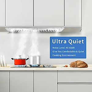 Zomagas Range Hood Insert 30 inch,Stainless Steel Kitchen Vent Hood 600CFM,Built-in Kitchen Stove Hood w/Front Button Controls and Front LED Lights,Baffle Filters,Ducted/ductless Convertible Duct