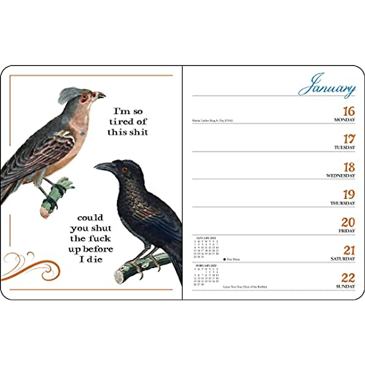 Effin' Birds 12-Month 2023 Monthly/Weekly Planner Calendar