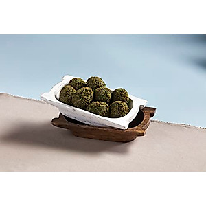 Mud Pie Preserved Moss Egg Filler Set, 4" x 7 1/2", Cream