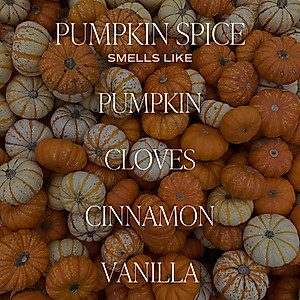 Sweet Water Decor Pumpkin Spice Candle - Fall Candles with Pumpkin, Clover, Cinnamon & Vanilla Scent for Home - Pumpkin Candle with 40 Hours Burn Time - 9Oz Gold Lid Clear Jar Pumpkin Soy Candles