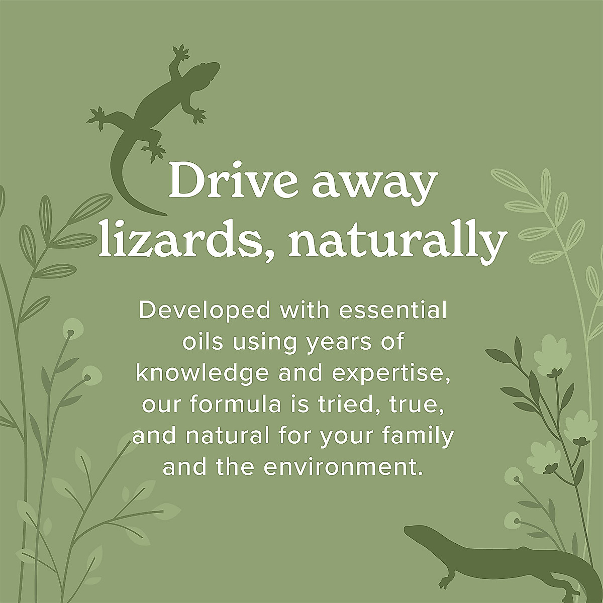 Vine Home Lizard Control Spray | 32 Ounce | Natural, Non-Toxic Lizard Repellent | Quick, Easy Pest Control | Safe Around Kids & Pets