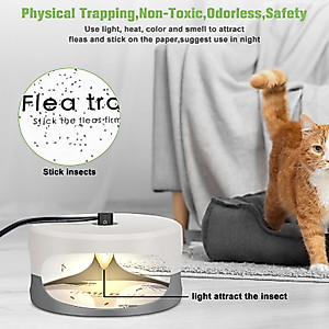 KILSACO Flea Trap Refill Discs- Sticky Glue Boards 14 Packs- 7.1 Inch Natural Glue Board, Non-Toxic Refill Glue Pad Replacement Mat Fits Most Flea Traps