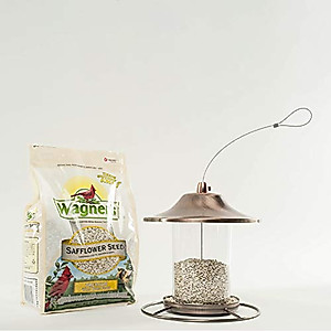 Wagner's 57075 Safflower Seed Wild Bird Food, 5-Pound Bag (Pack of 2)