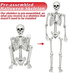 Fovths 5.4Ft/165 cm Pre-Assembled Halloween Skeleton Decoration Life-Size Skeleton Full Body Posable Human Bone with Movable Joints Headband Belt Eye Patch for Halloween Outdoor Yard Haunted House