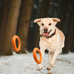 DLDER Dog Toys for Aggressive Chewers Large Breed,Durable Dog Ring Toy,Tough Rubber Dog Toy,Indestructible Dog Chew Toys for Large Medium Dogs Training and Teeth Cleaning.