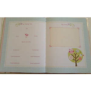 Baby's First Memory Book "Look Whoo's Adorable" Pink W/flowers, Owls, & Bird