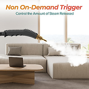 AUXCO 2500W Steam Cleaner, High Pressure Steamer for Cleaning, Portable Handheld Steam Cleaners for Home Use, Steamer for Car Detailing, Steam Cleaner for Upholstery, Kitchen, Bathroom, Grout and Tile