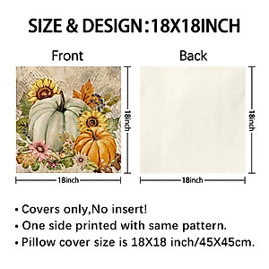 Juirnost Fall Pumpkin Pillow Covers 18x18 Inch Set of 4 Pumpkin Sunflower Autumn Harvest Throw Pillow Cases Squirrel Decorative Thanksgiving Day Cushion Case for Couch Sofa Outdoor Home Decor
