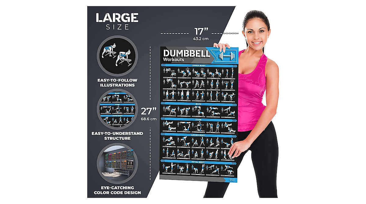 21-Pack Laminated Workout Posters for Home Gym
