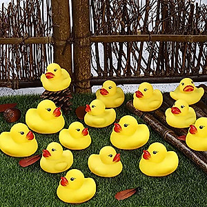 50Pcs Mini Bath Ducks Toys, Rubber Duck Bath Bulk Float Duck Baby Bath Toy for Shower Birthday Party Favors Gift Classroom Summer Beach Pool Party Games