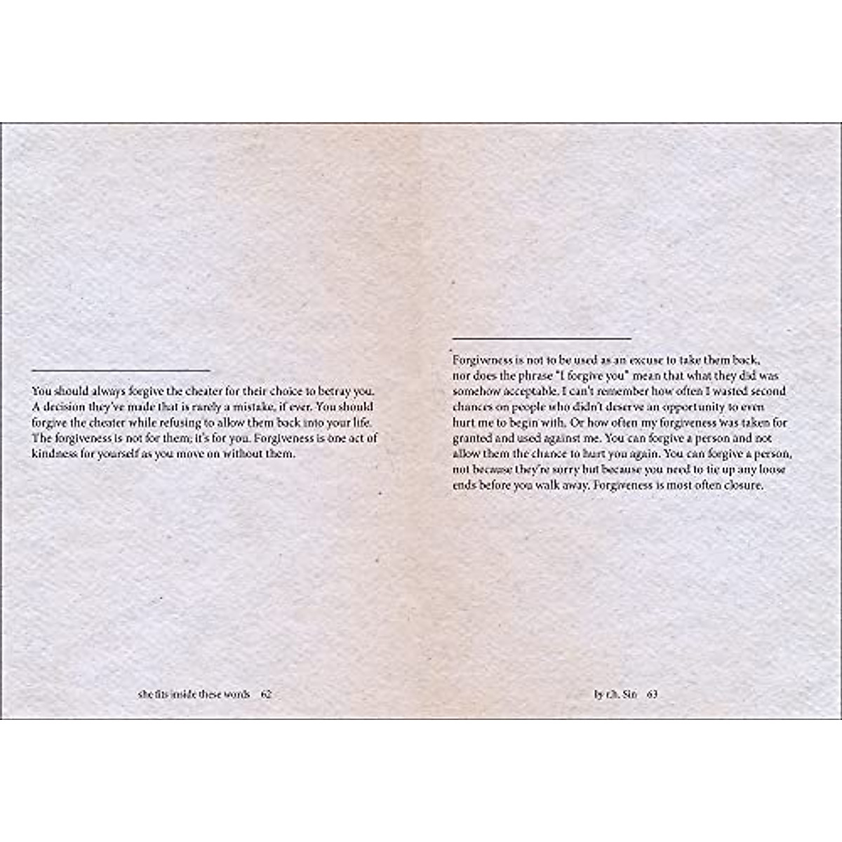 She Fits Inside These Words (Volume 4) (What She Felt)