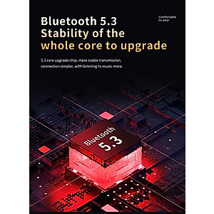 VOLT PLUS TECH Wireless V5.3 LED Pro Earbuds Compatible with Asus ROG Phone 6D Ultimate IPX3 Water & Sweatproof/Noise Reduction & Quad Mic(Black)