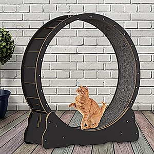 Pet Cat Running Wheel Treadmill Sport Climbing Frame Mute with Carpeted Runway Indoor Toys Exercise Wheel for Fitness Workout, Black, L