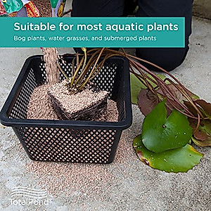 TotalPond Aquatic Plant Basket, 10-inch