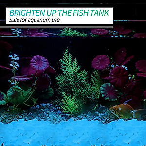 900pcs Glow in The Dark Rocks Outdoor Decorations Stones Small Luminous Pebbles Indoor/Outdoor Decor for Garden Fish Tank Aquarium Planter Walkway - Lake Blue