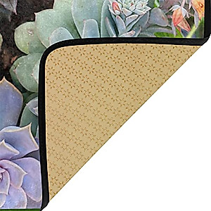 KFBE Succulents Plant Area Rugs 39x20 inch Carpet for Kitchen, Bathroom, Laundry Room, Bedroom (20809835)