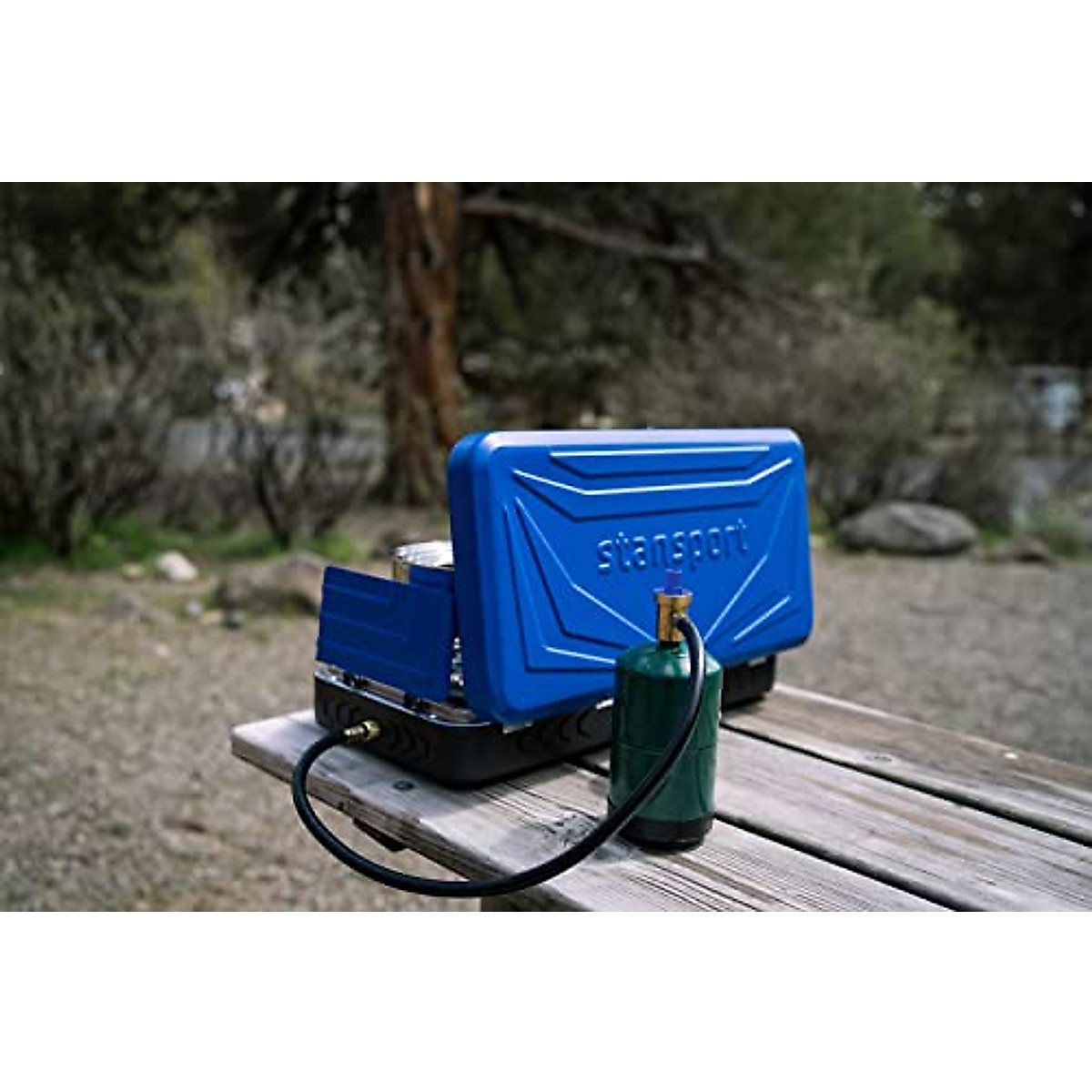 30" Propane Hose & Regulator 10 PSI